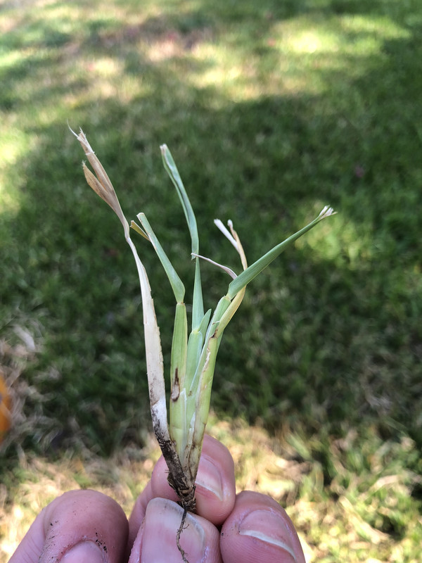 1 E6 B3749 C483 49 E7 B5 E8 E01538965 A87 — Postimages