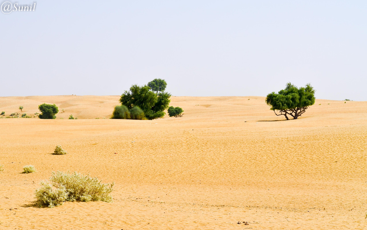 Drive to Munabao, the last Indian Railway Station on the rail link to ...