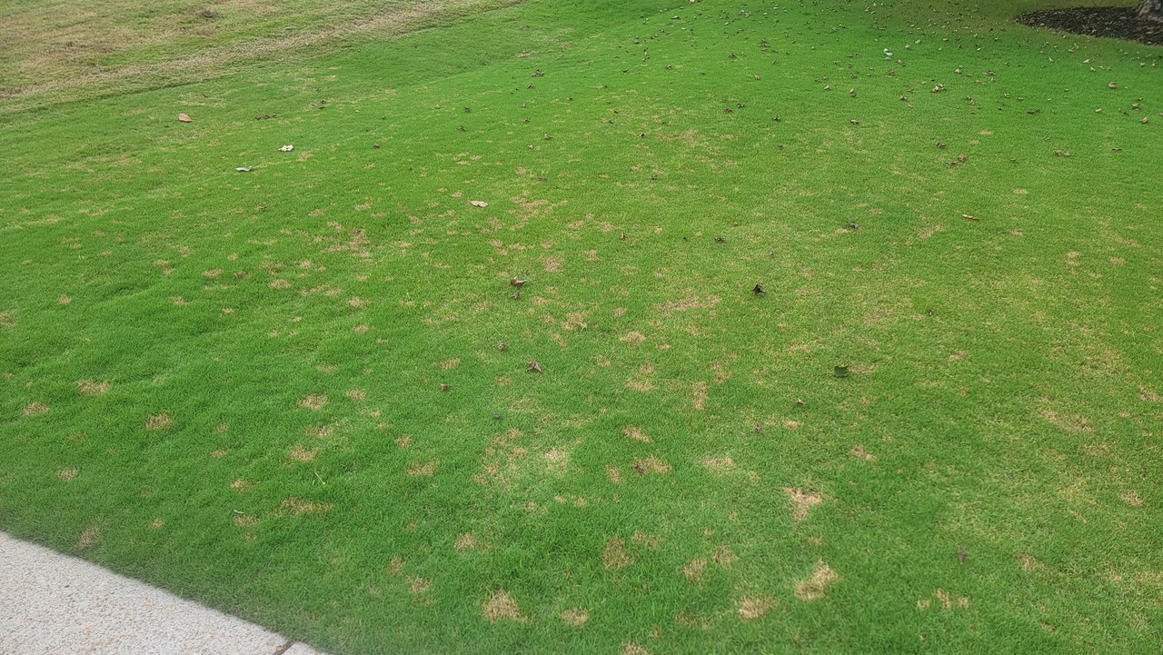 Please help identify & recommend treatment for spots all over my ...