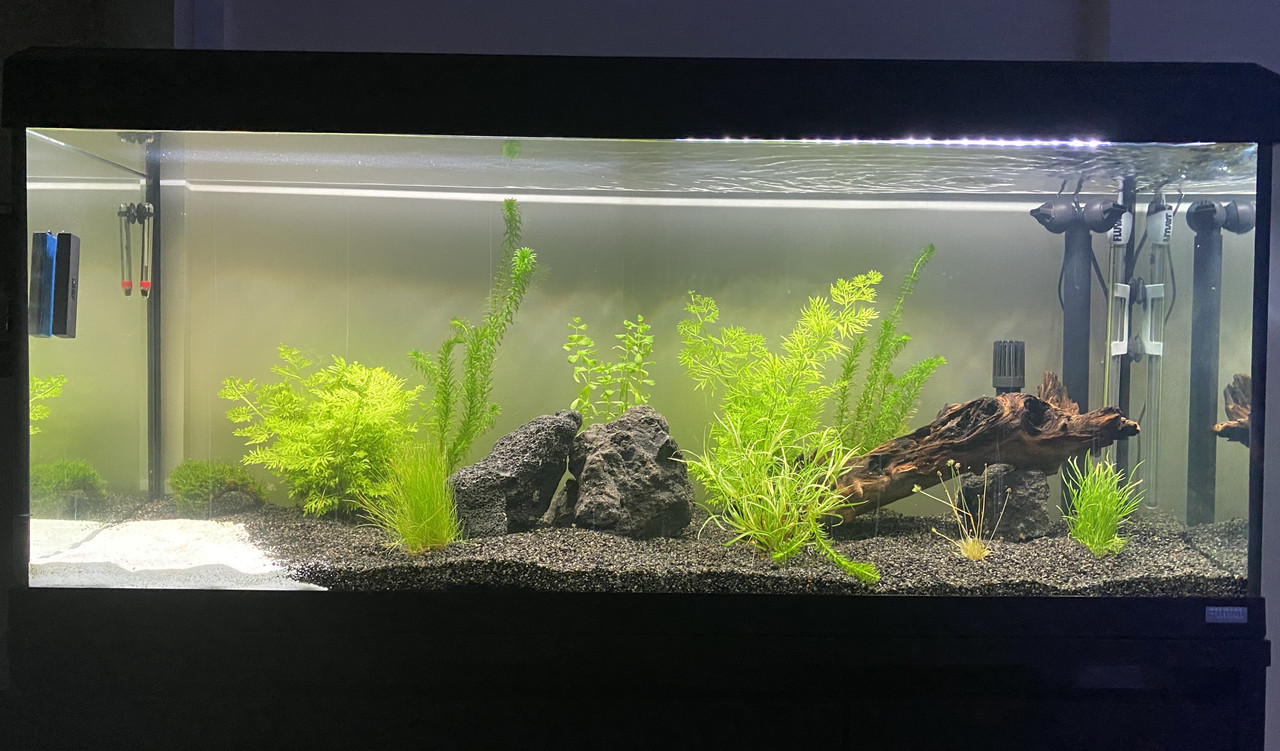 6th May — Postimages