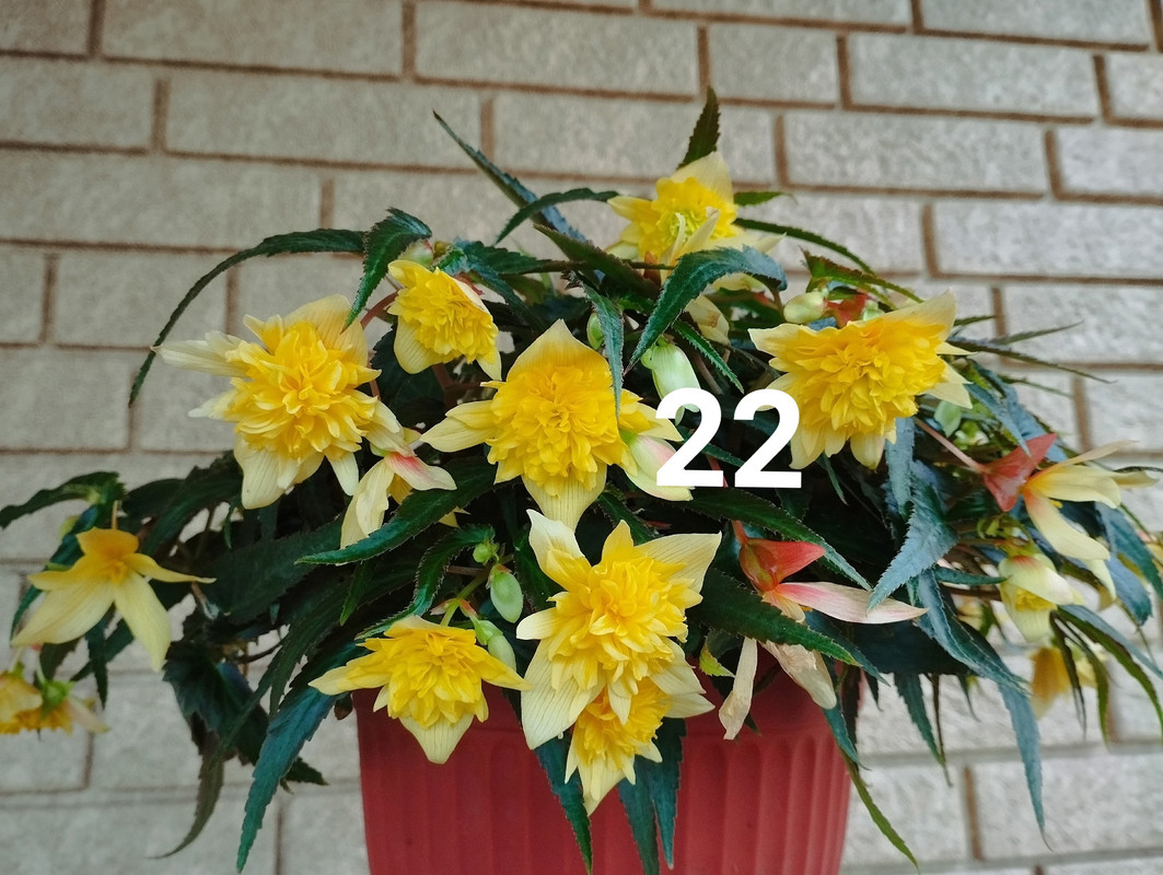 VA13r BPq Nh U — Postimages