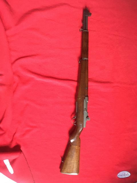 Wild Boar Fever Rifles - 24hourcampfire