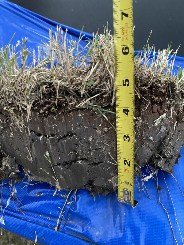 Help determining thatch layer | Lawn Care Forum