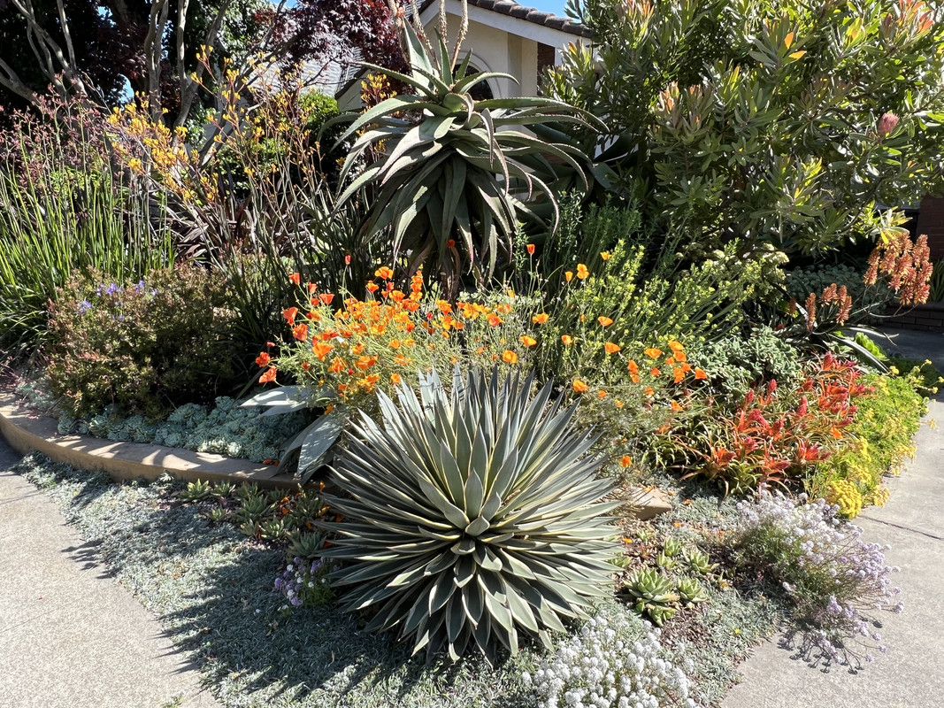 85 D8 BB56 4931 40 A6 88 B2 D840867 CFB26 — Postimages