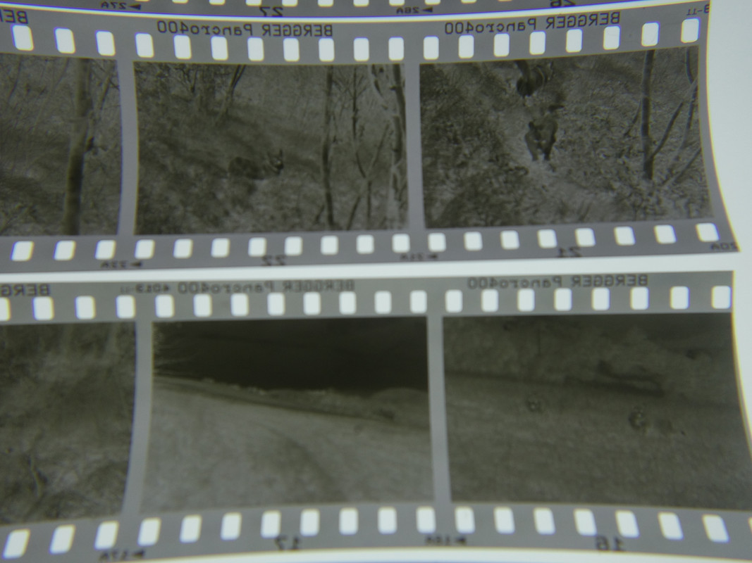 DSC00979 — Postimages