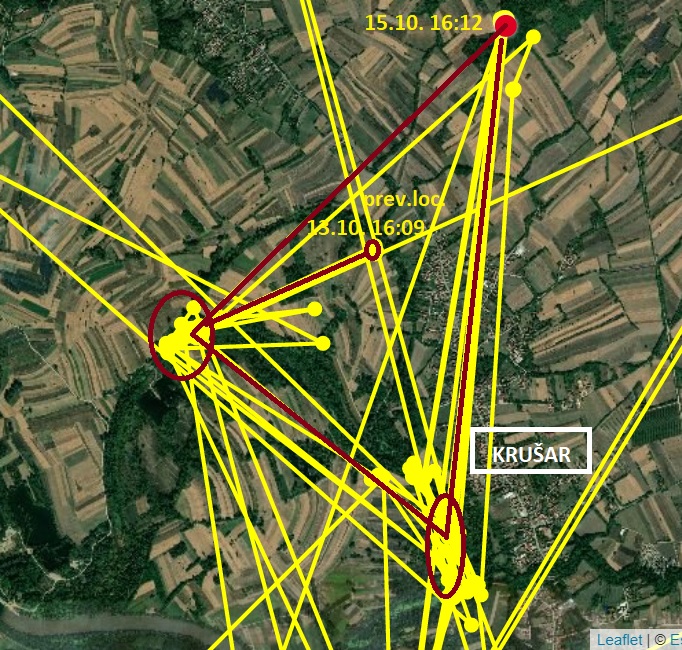 Black Stork Tracks - Page 519 - Looduskalender