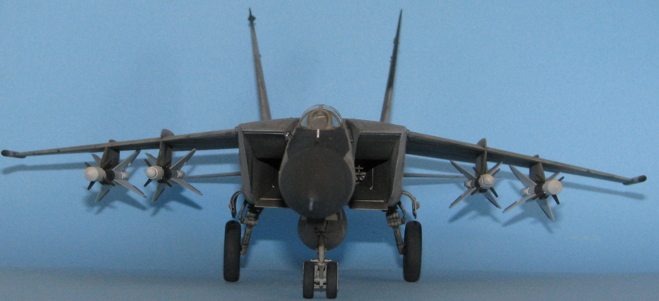 MIG-25 1:48th scale - Ready for Inspection - Aircraft - Britmodeller.com