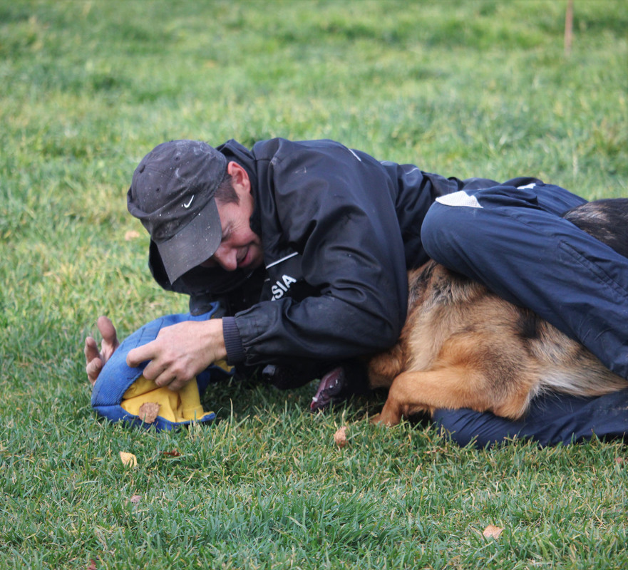 IMG 3434 — Postimages