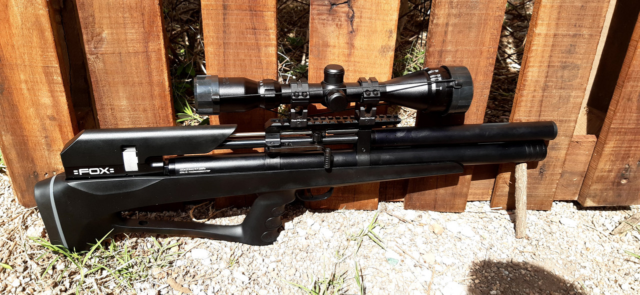 20201104 100020 — Postimages