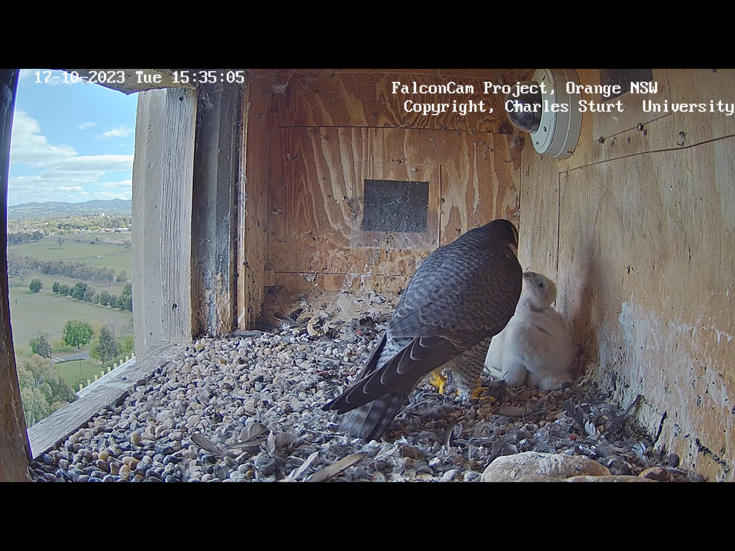 IMG 9472 — Postimages