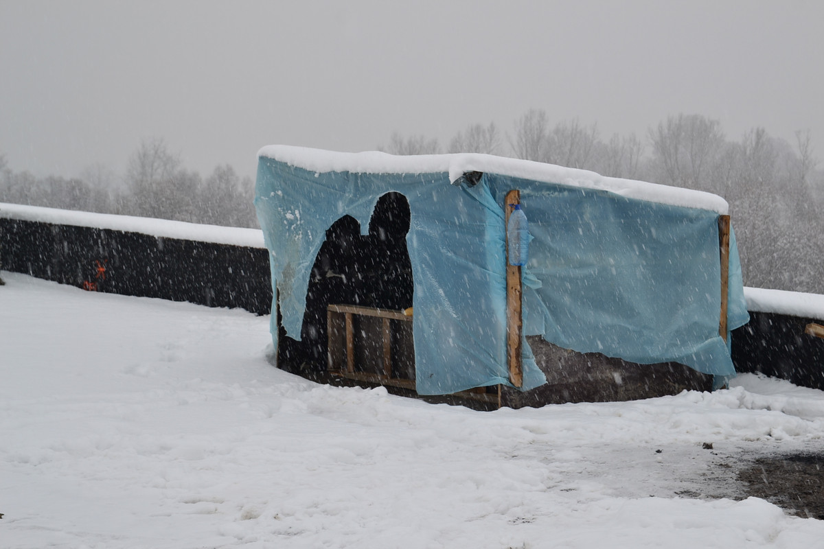 DSC 0069 — Postimages