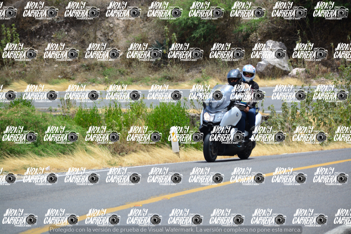 DSC 0450 — Postimages