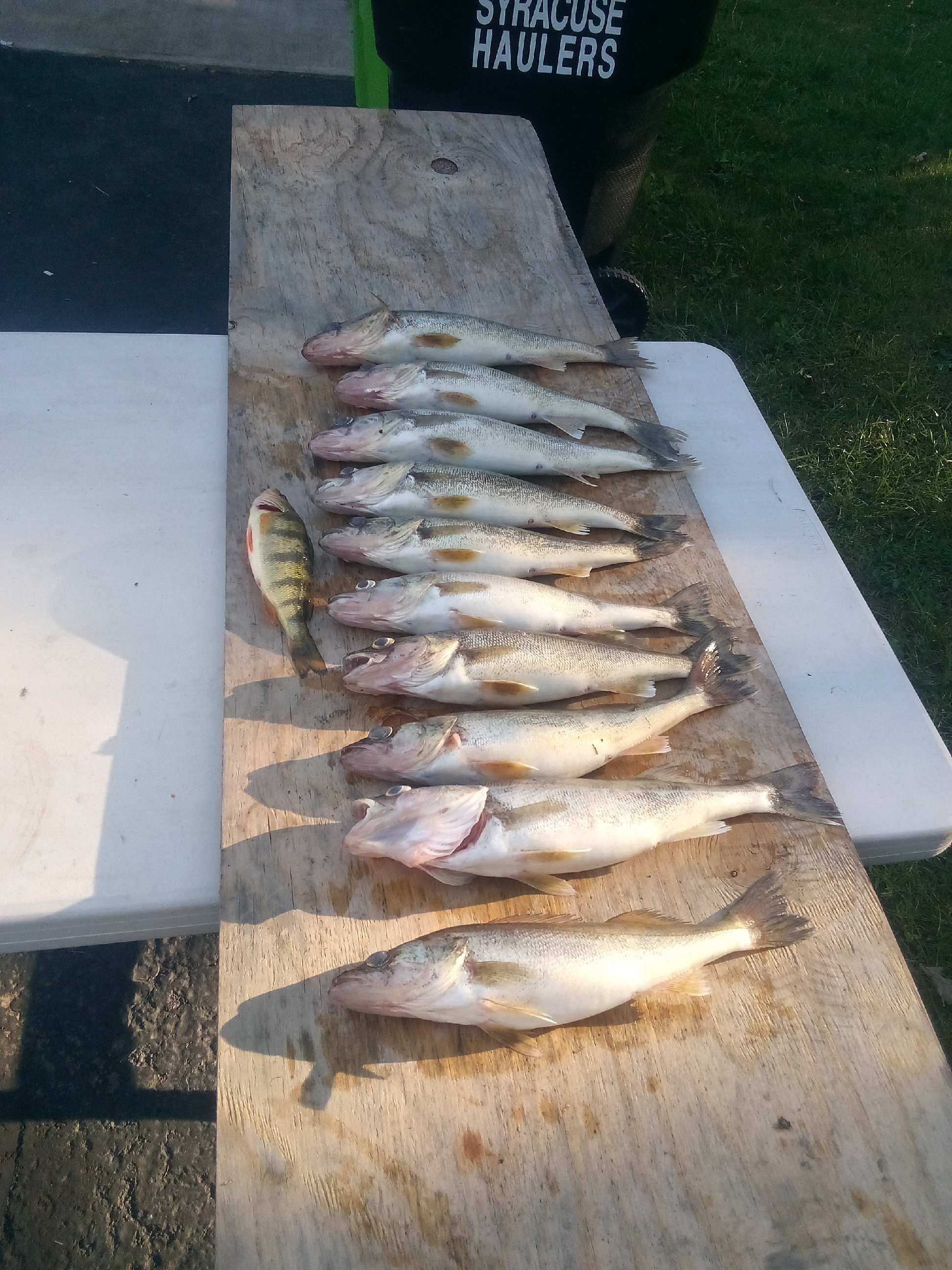 image000000 — Postimages