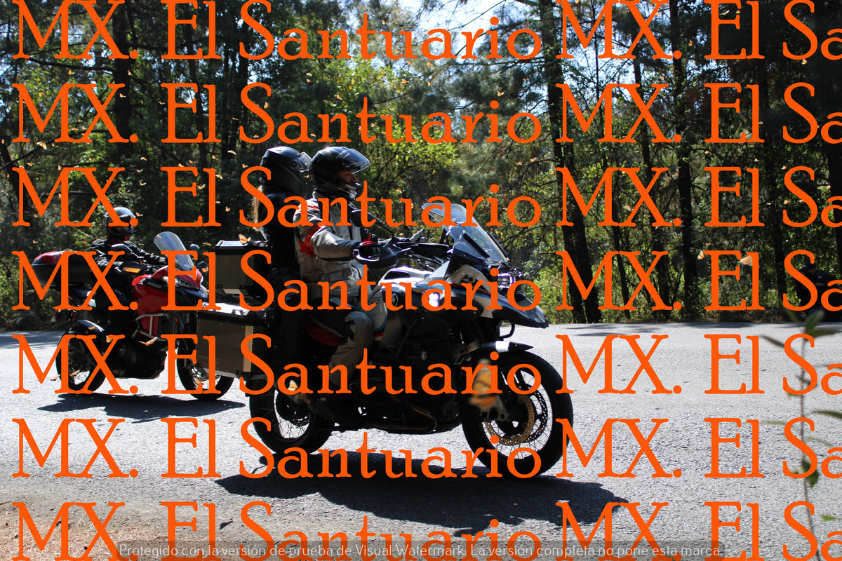 IMG 0175 — Postimages