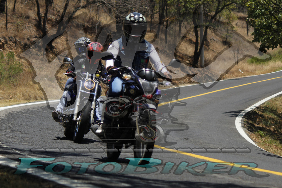 MG 0456 — Postimages