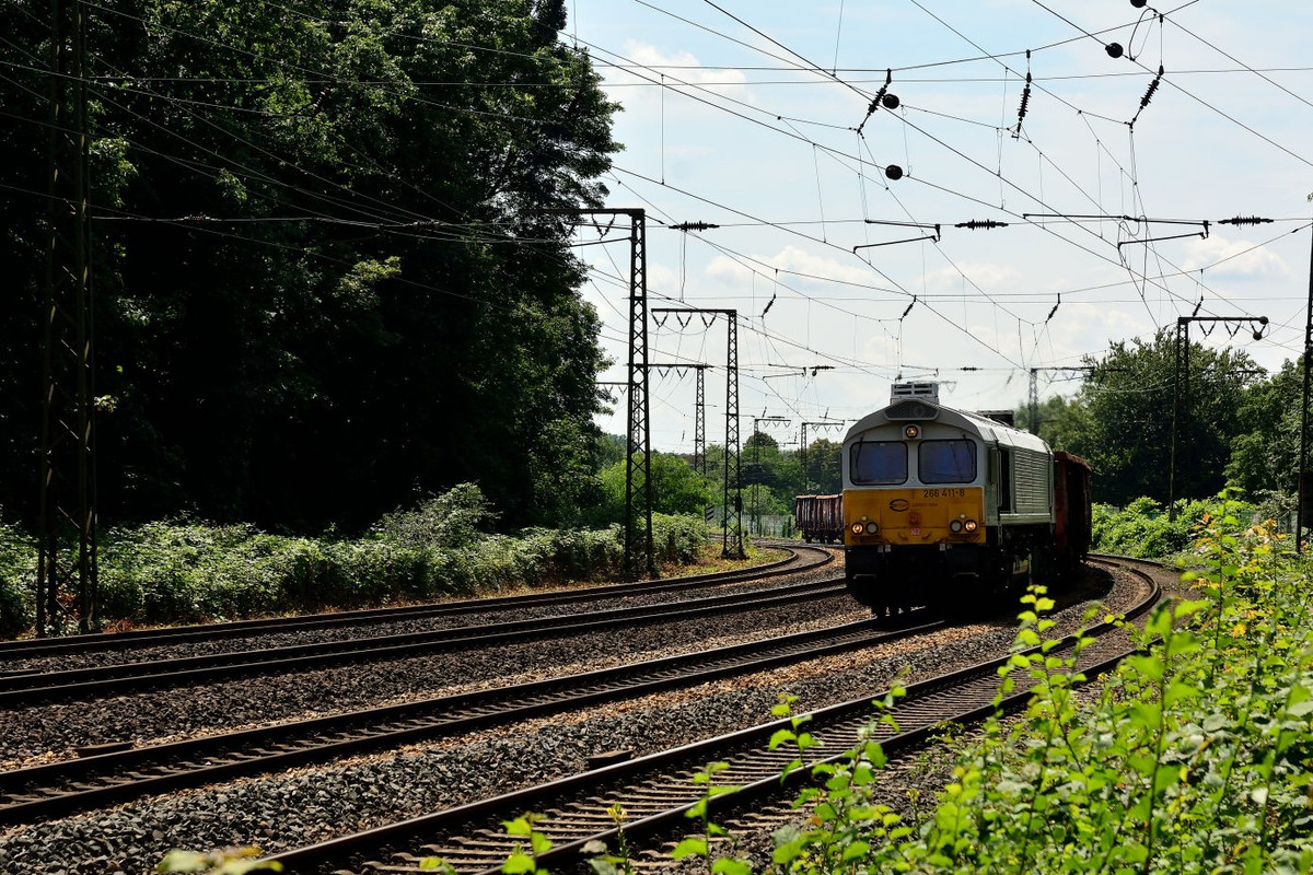 266 411 — Postimages