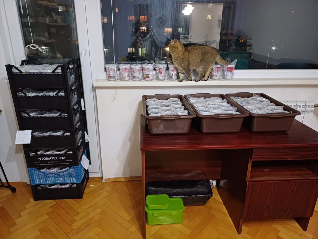 20240311 192904 — Postimages