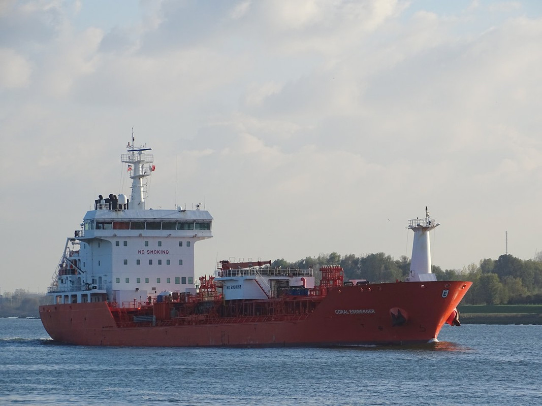 Coral Essberger 12 11 2024 — Postimages