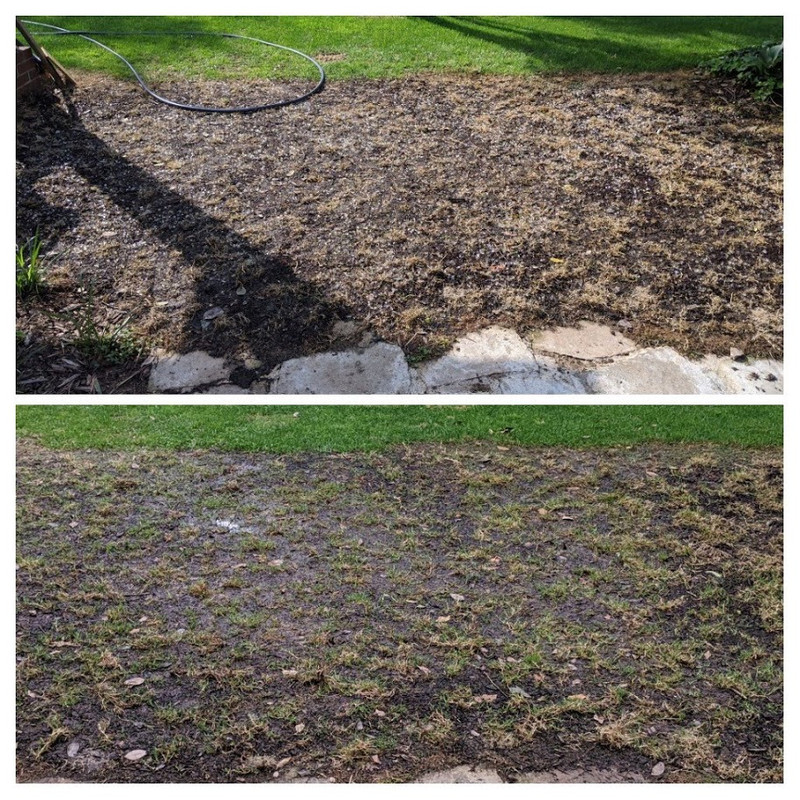 Probasestealer's Sprigging project Journal (TiffTuf) - 7/19 completion ...