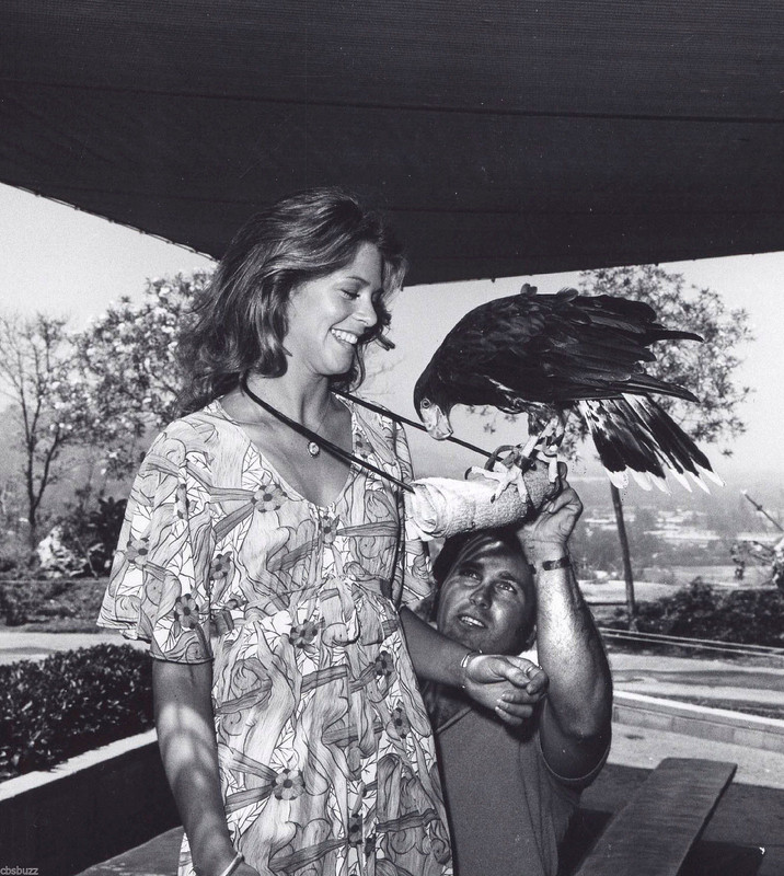 lindsay wagner d31 — Postimages