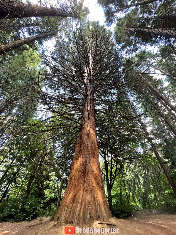 batch IMG 6754 — Postimages