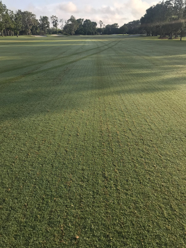 Verticutting fairways today | Lawn Care Forum