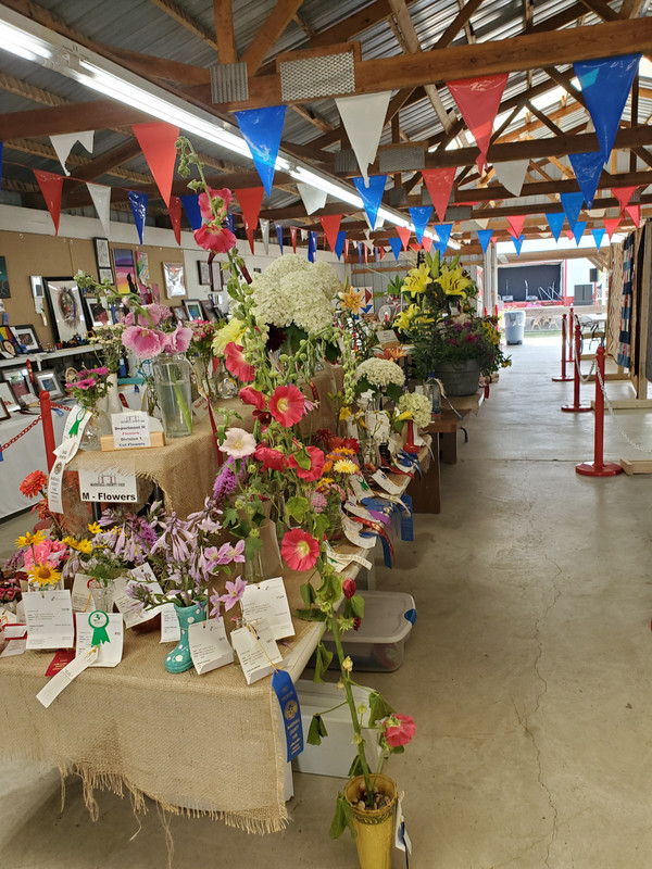 flower overview — Postimages