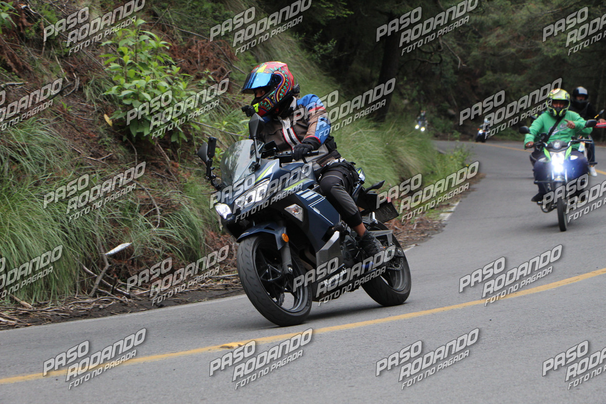 IMG 6196 wm 788497 8 watermarked — Postimages