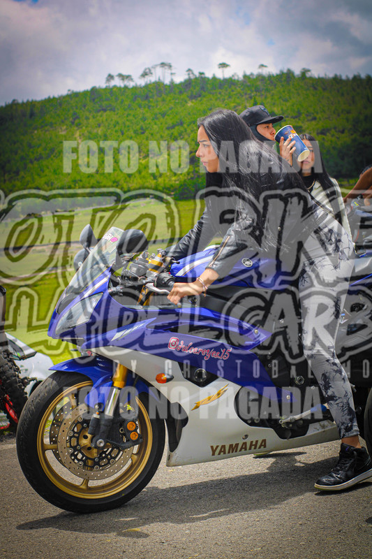 pal1s 119 — Postimages