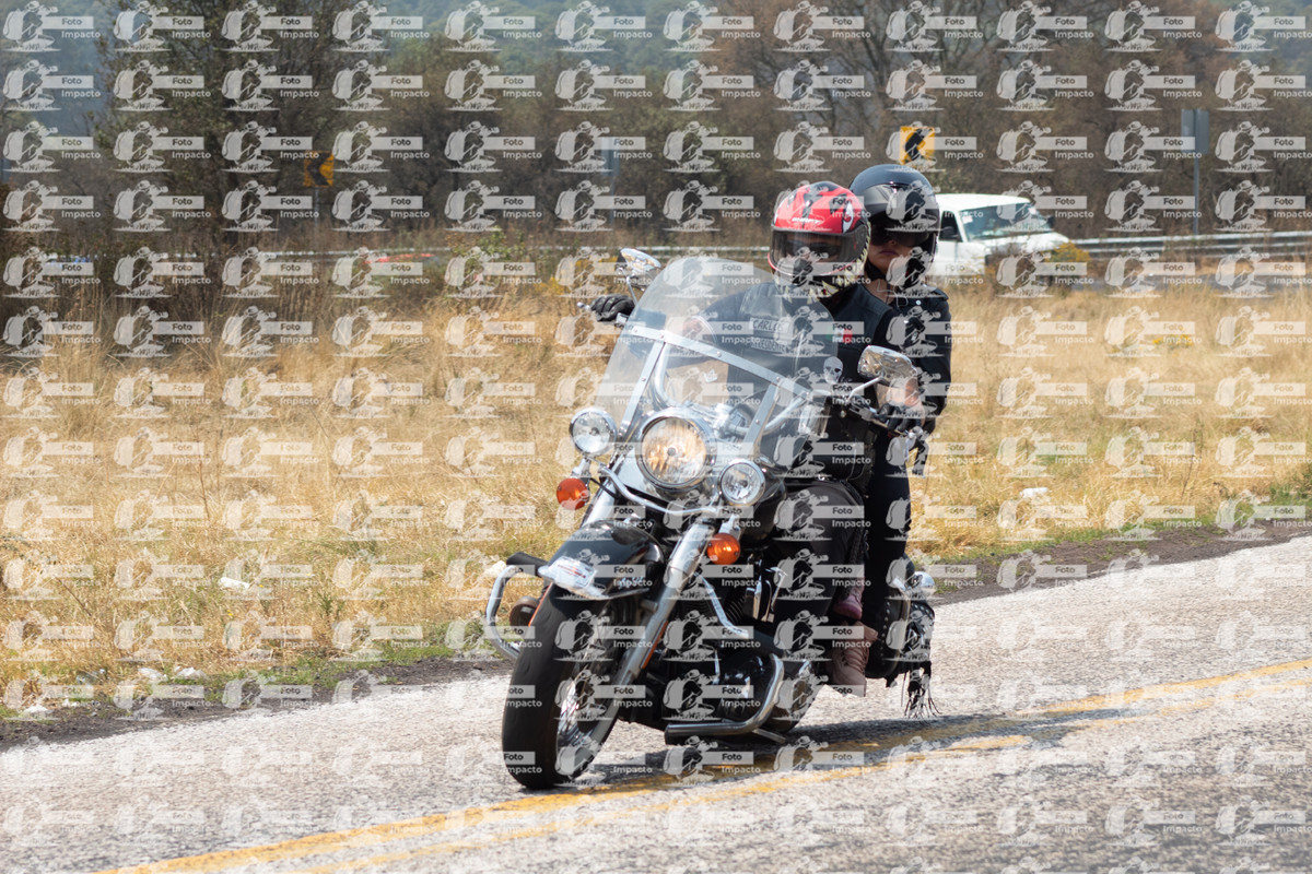 MG 0626 — Postimages