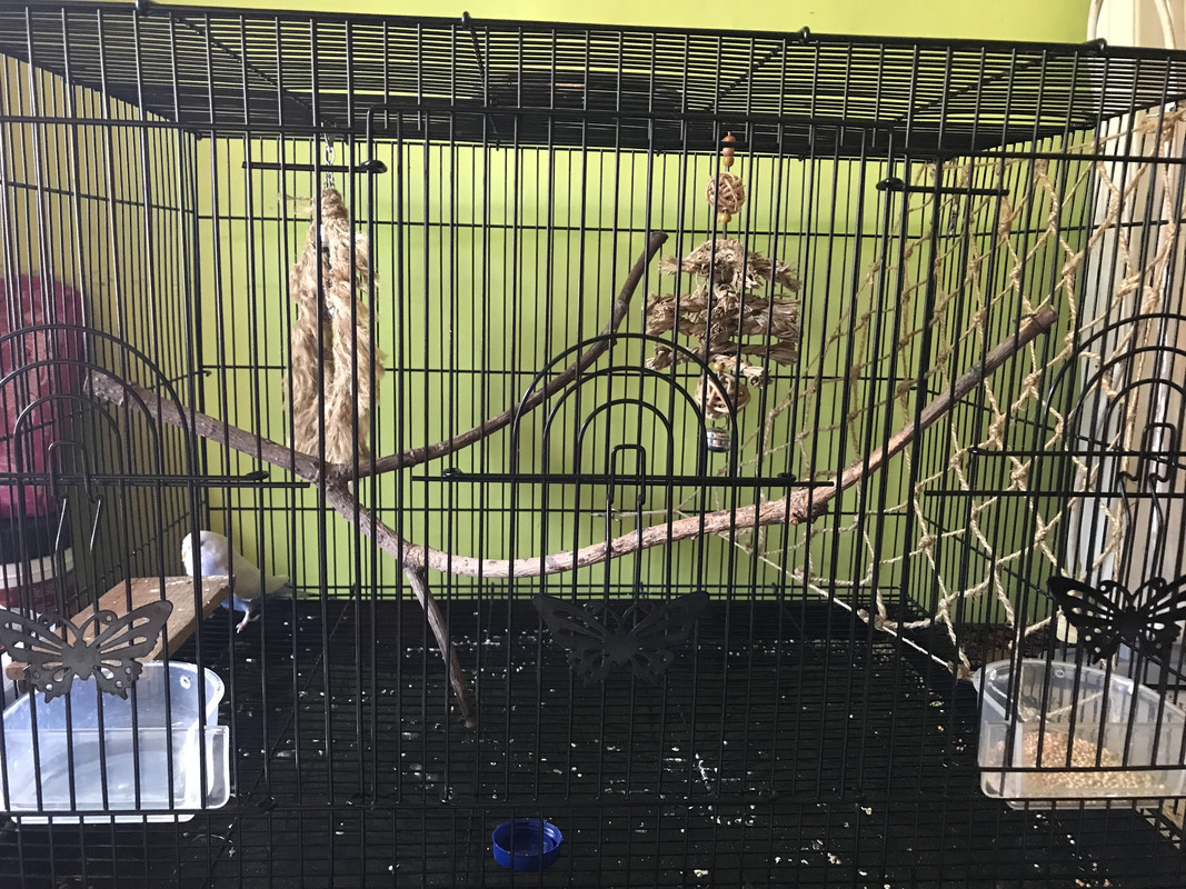 72 AF656 C 3 B87 4470 89 B0 7 FF1 AF5 AA8 DF — Postimages