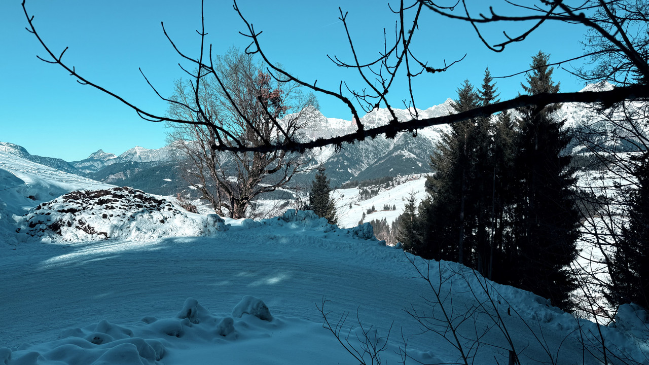 IMG 5473 — Postimages