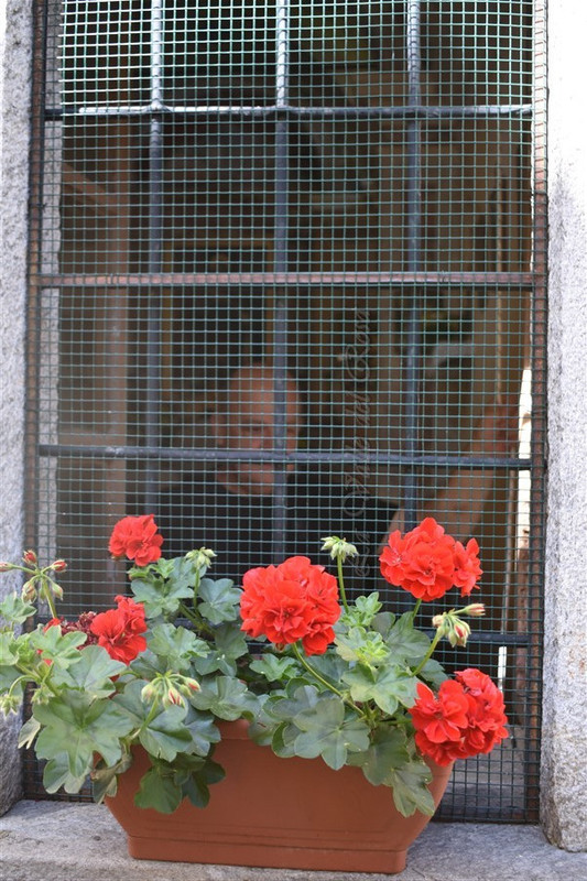 DSC 0635 — Postimages