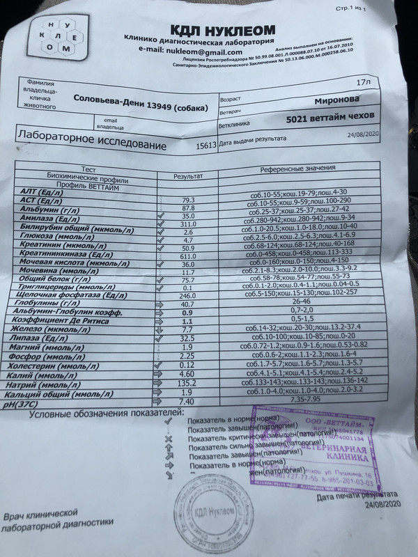 981 EB6 E0 2 E7 E 4113 AE52 EC5 B9403 A520 — Postimages