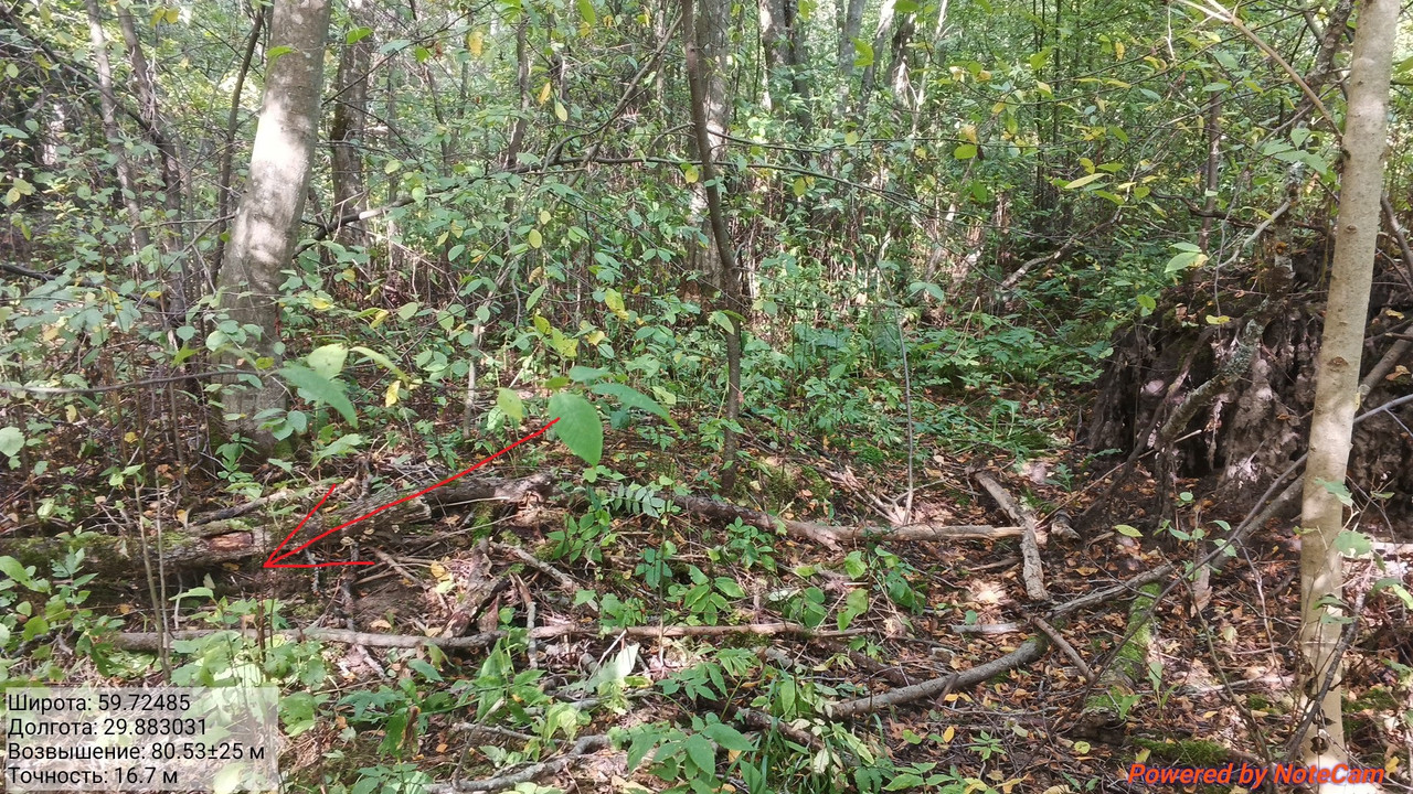 IMG 0581 — Postimages