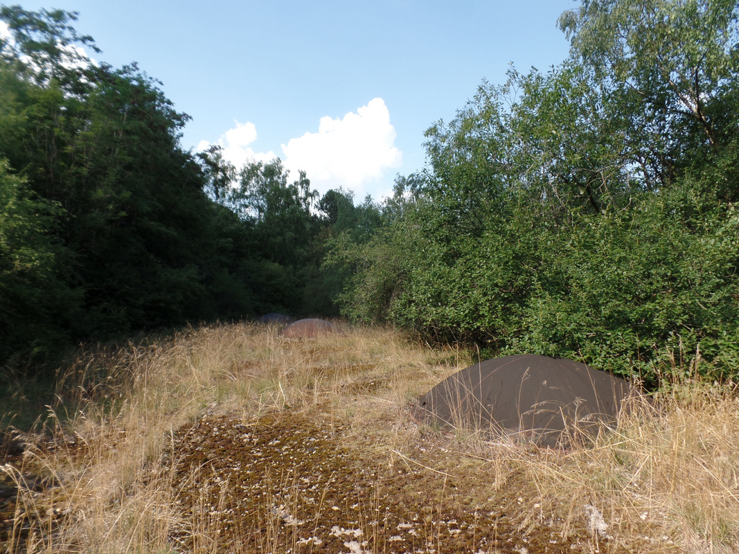 SAM 1338 — Postimages