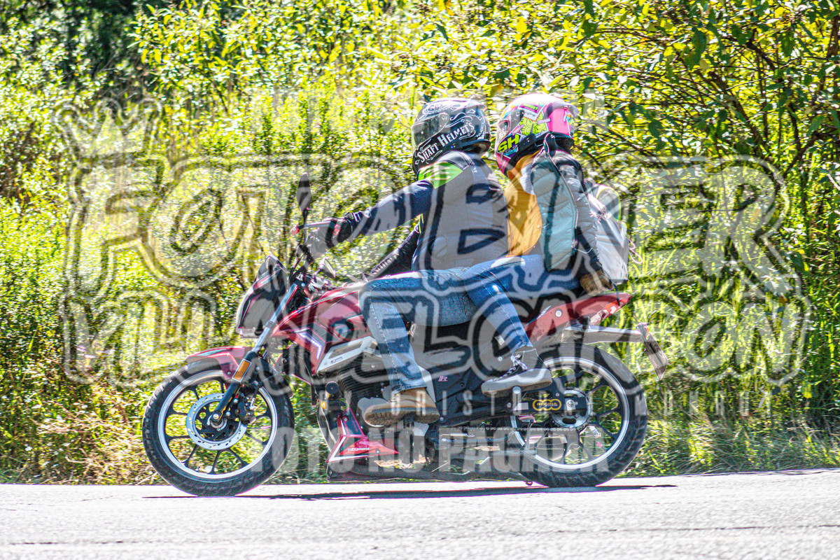 CV 104 — Postimages