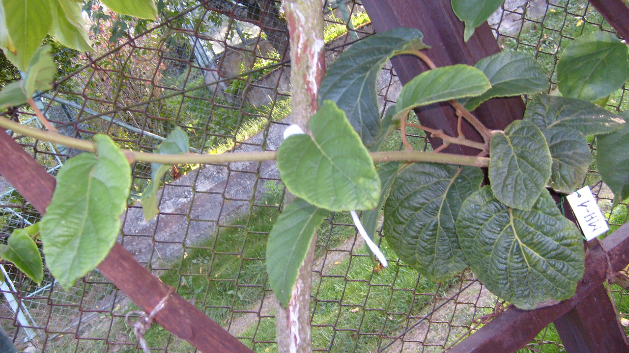 S6302328 — Postimages