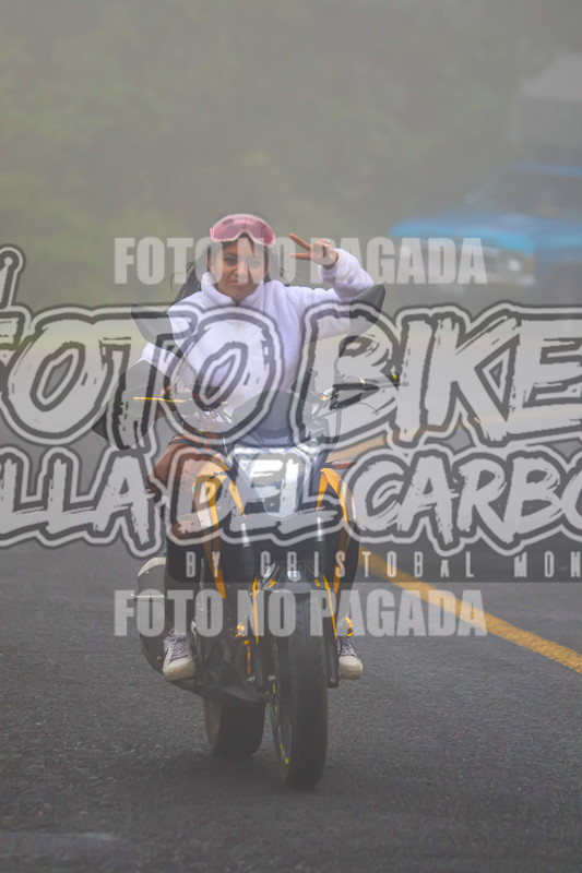 cartlz6 3029 — Postimages