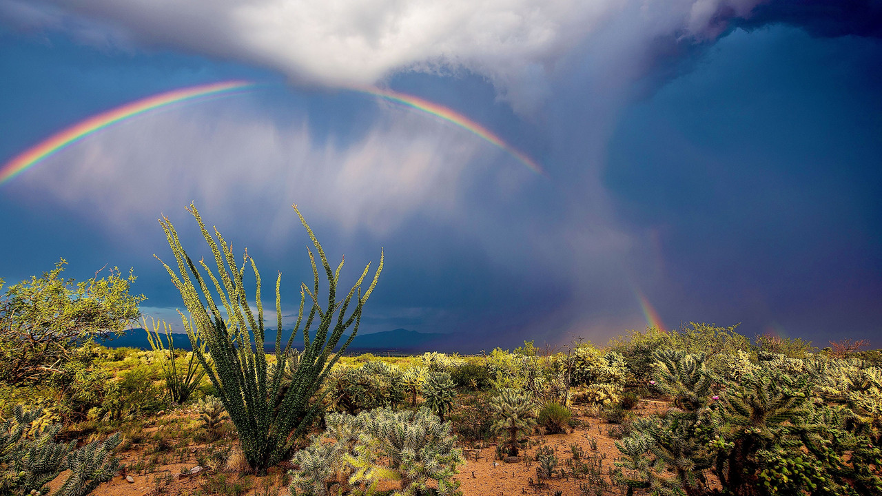 o XF6 Qr Jl Kmo9 AQFf617 Ti Gkyi PZ — Postimages