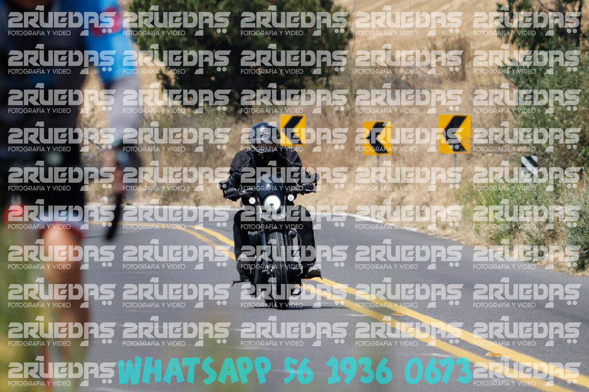 MG 0803 — Postimages