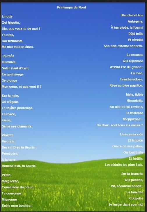 7 poèmes sur le printemps - Twinkl