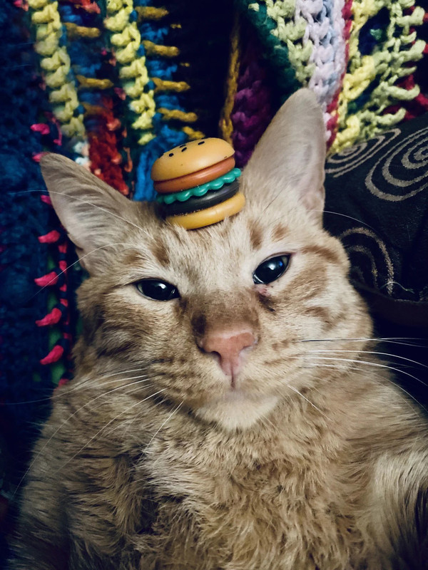 ca new — Postimages