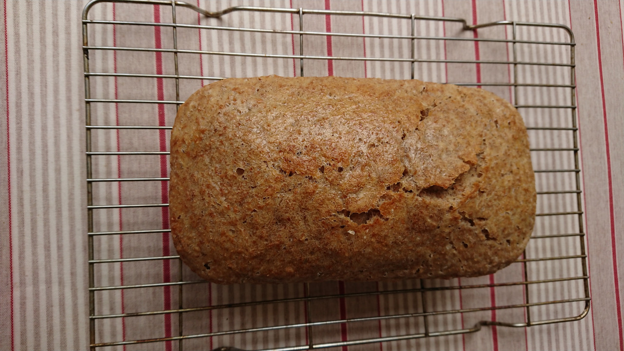 DSC 0300 — Postimages