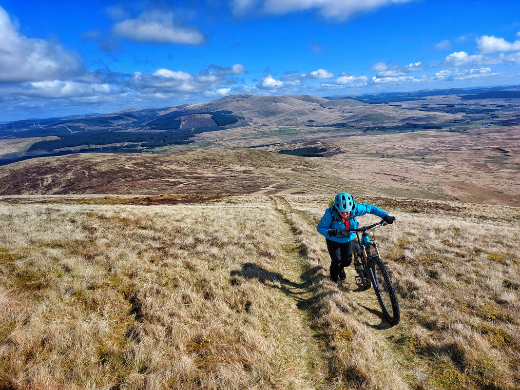 20240324 113112 01 — Postimages