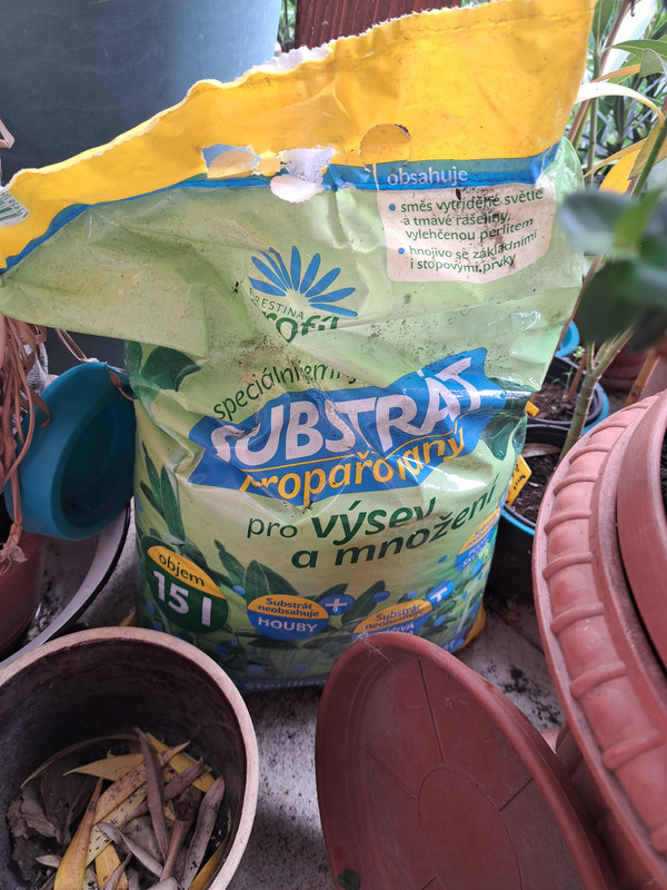 20240611 093013 — Postimages