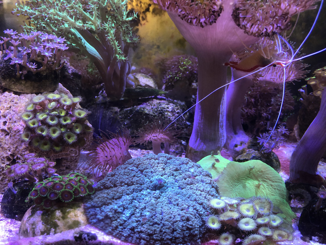 IMG 0827 — Postimages