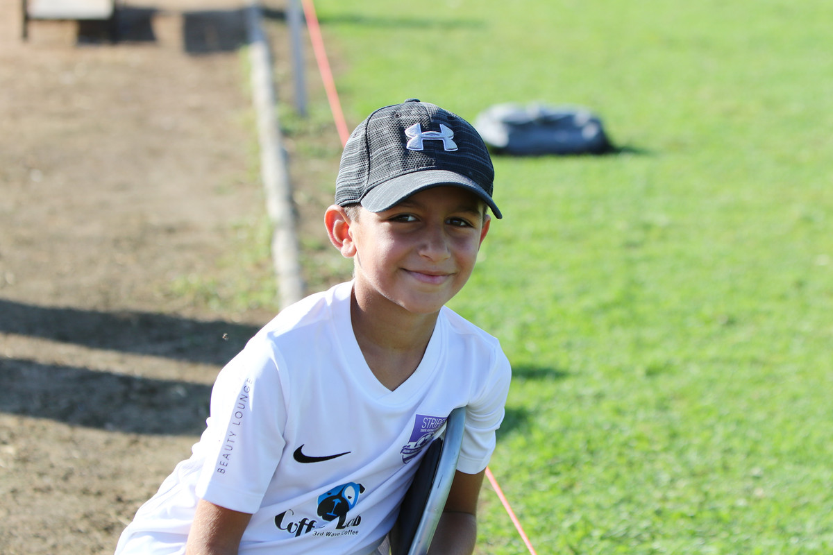 VIK 0799 — Postimages