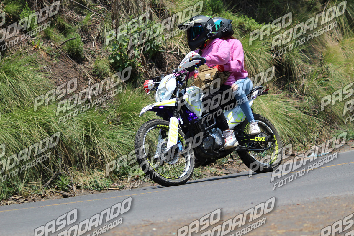 IMG 0832 wm 207988 watermarked — Postimages