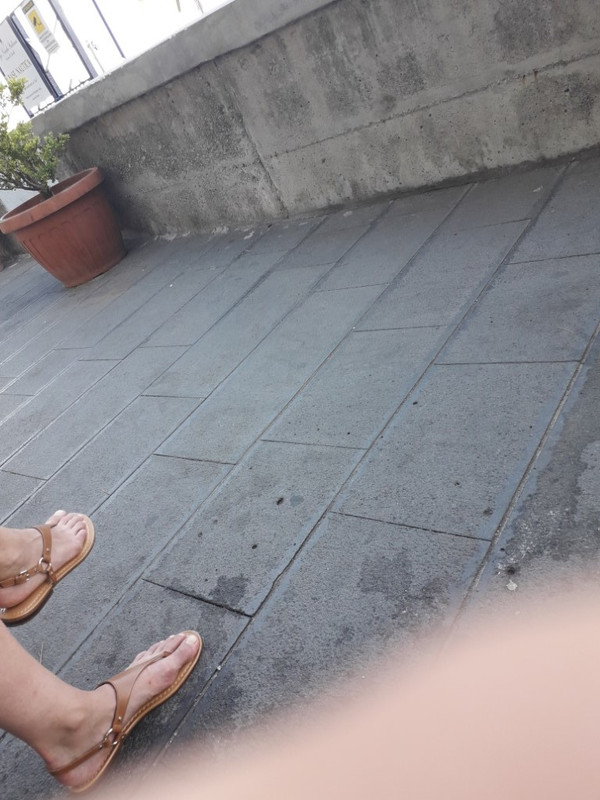 ago2019 (421) ( Media) — Postimages